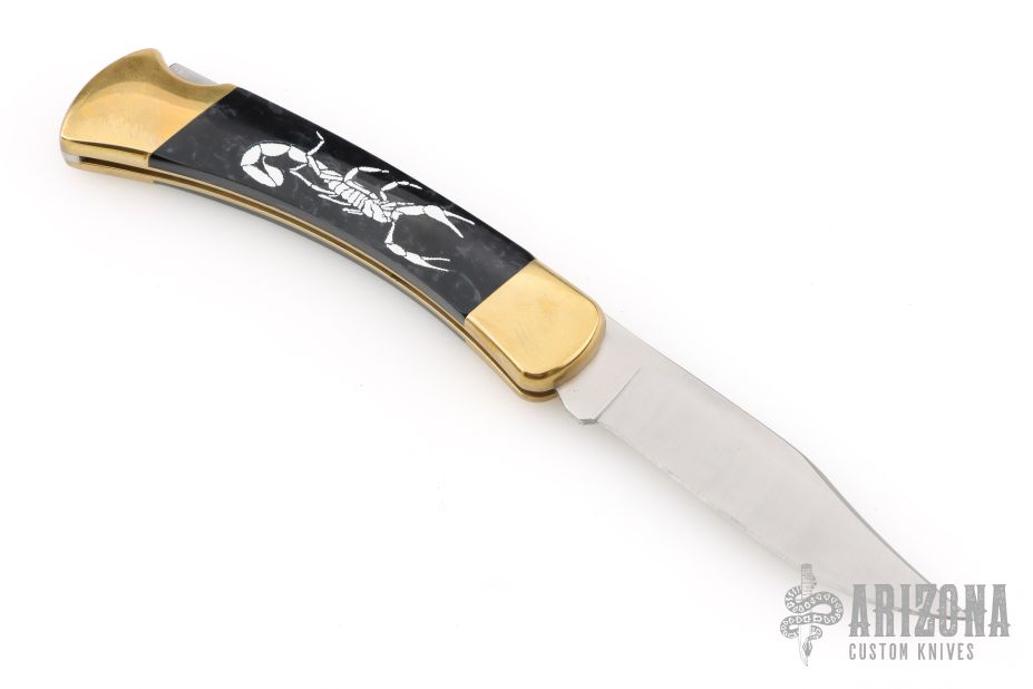 Custom Buck Model 110 #070 Scorpion - Arizona Custom Knives