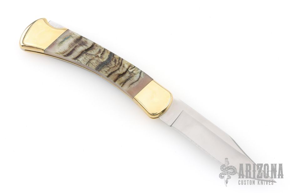 Buck 110 - Auto Conversion Nepal Sheep Horn - Arizona Custom Knives