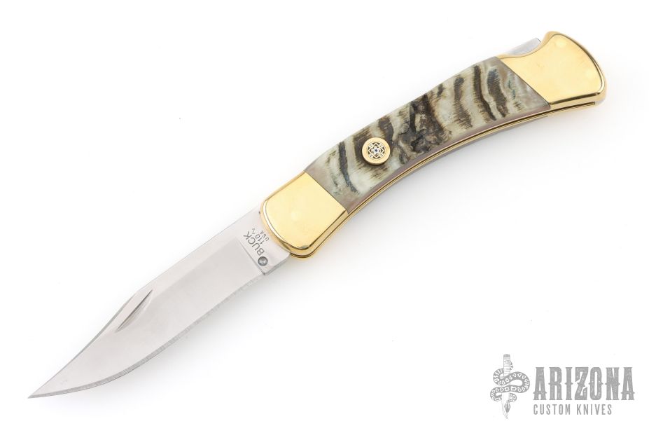 Buck 110 - Auto Conversion Nepal Sheep Horn - Arizona Custom Knives