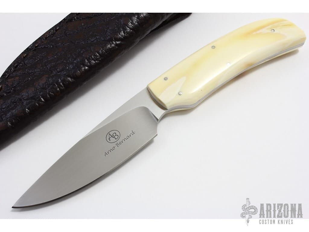 Scavenger - Wild Dog - Warthog Ivory - Arizona Custom Knives