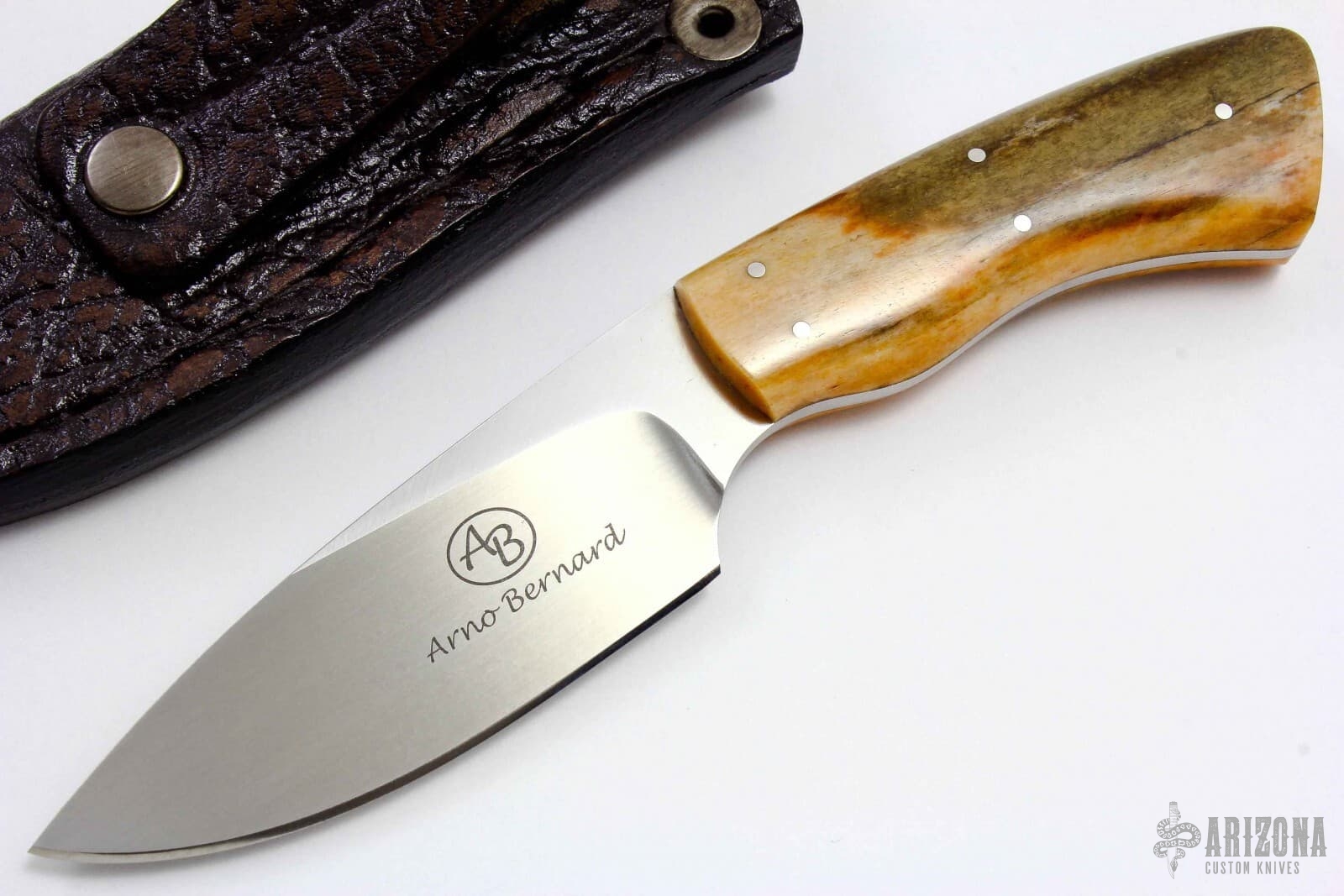 Bush Baby Gecko with Giraffe Bone - Arizona Custom Knives