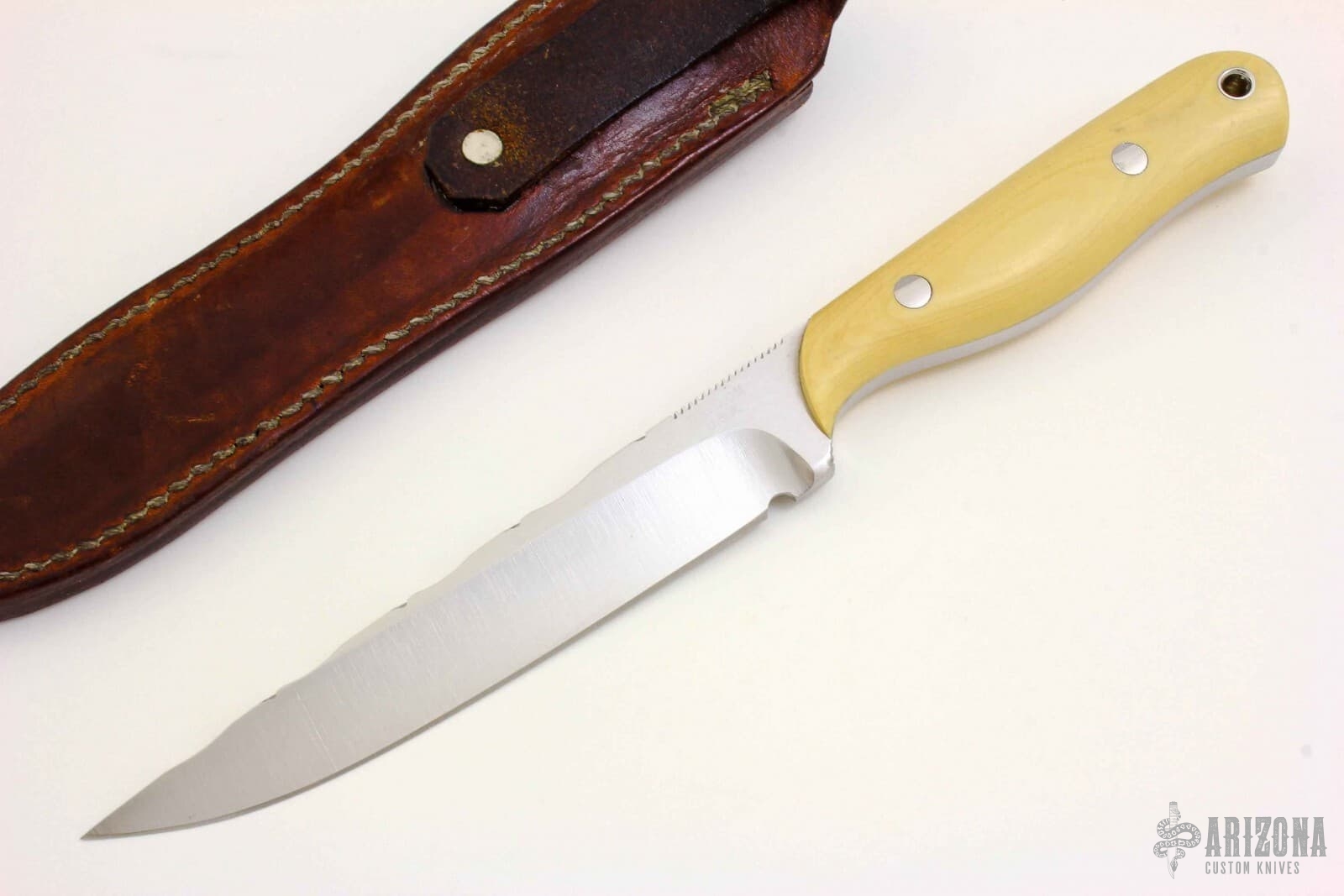 Ivory Micarta Hunter | Arizona Custom Knives