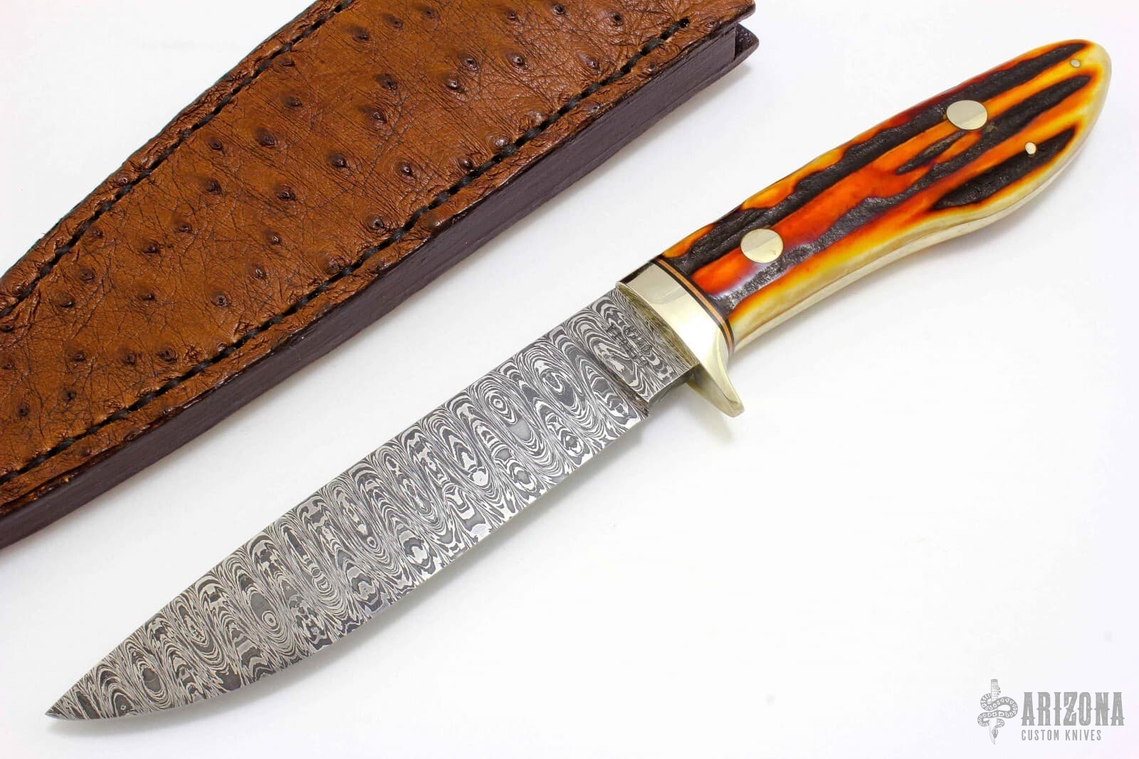 Damascus Hunter | Arizona Custom Knives
