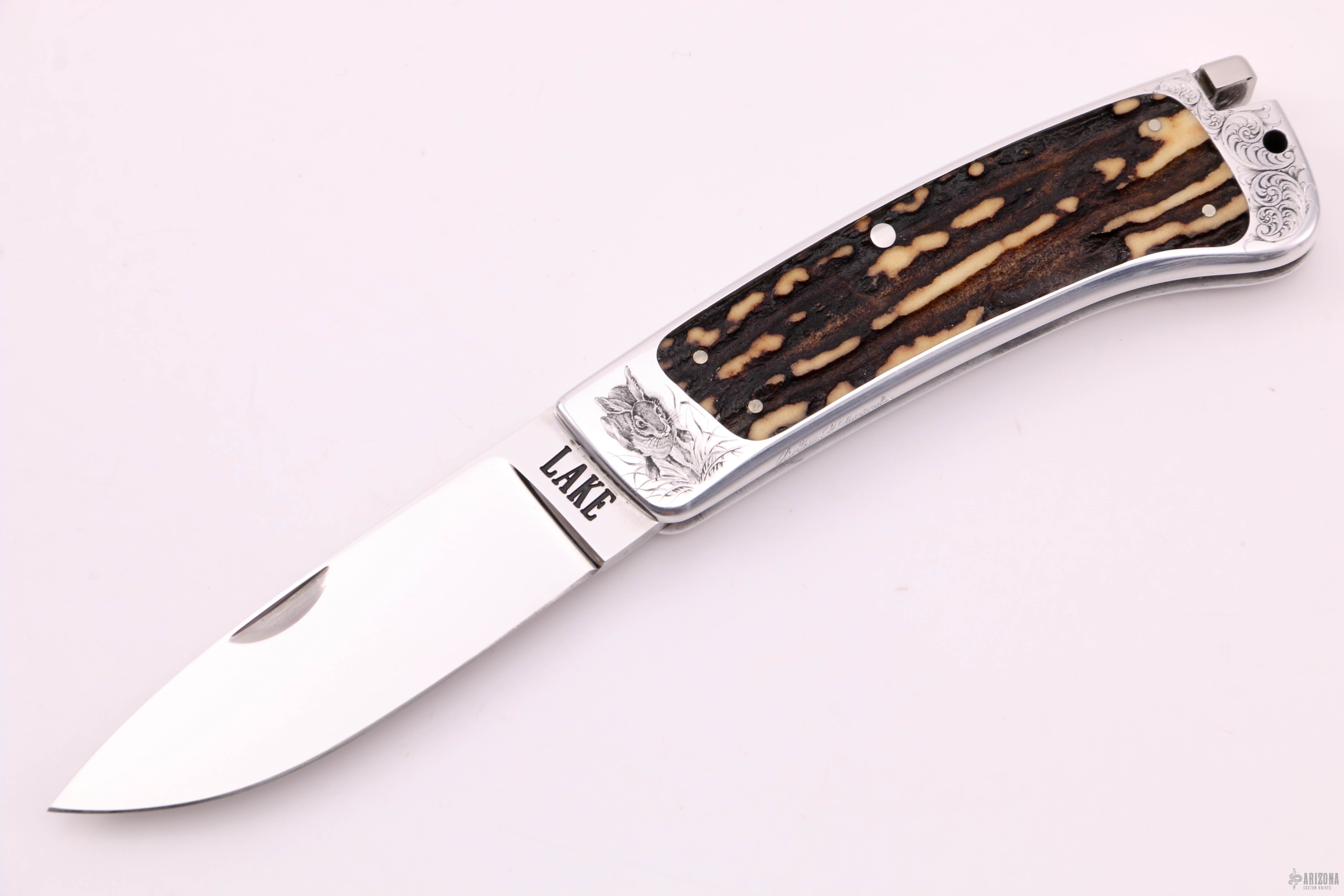 Tail Lock - Engraved w/ Stag - Arizona Custom Knives