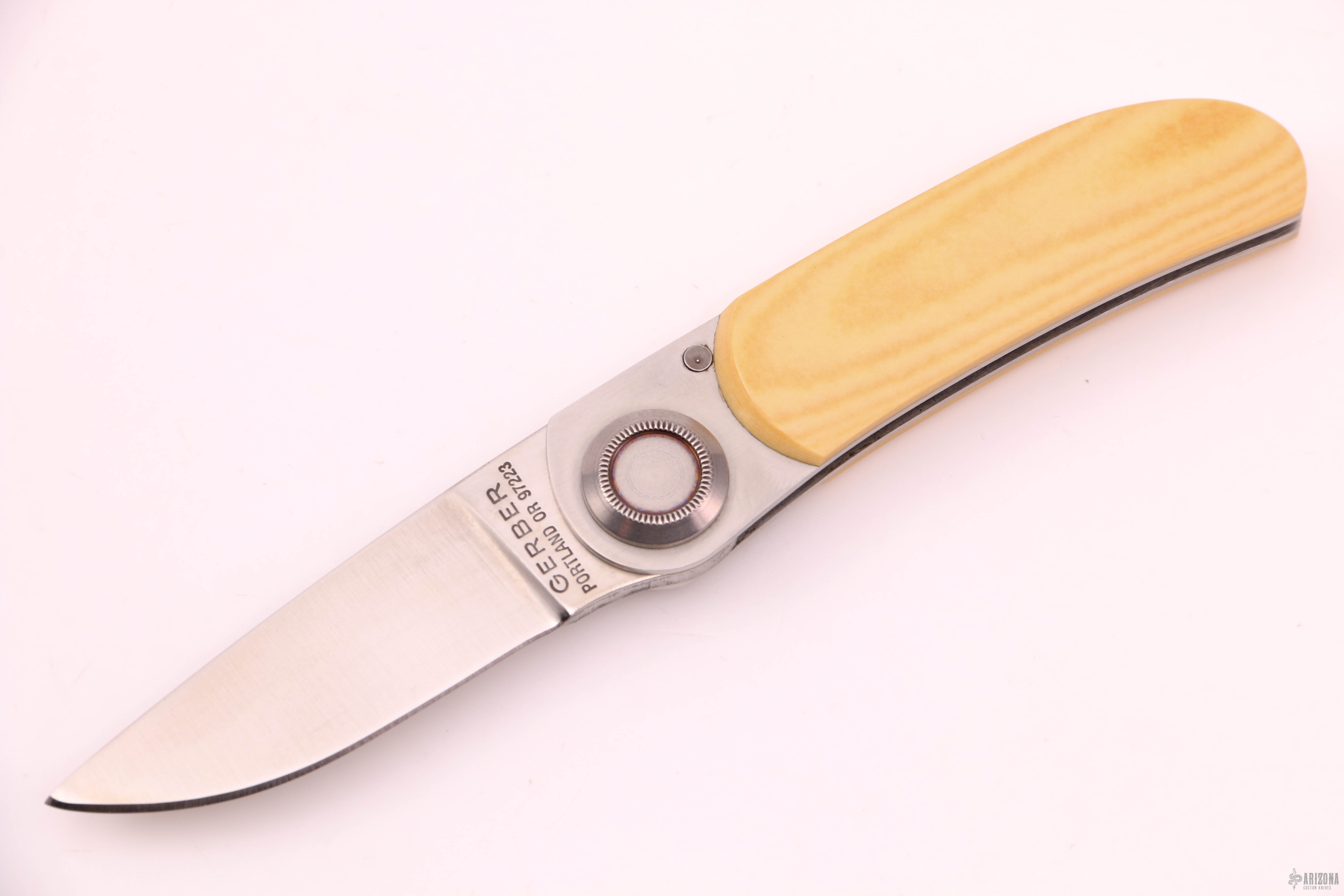 Paul Knife Model 2PM | Arizona Custom Knives