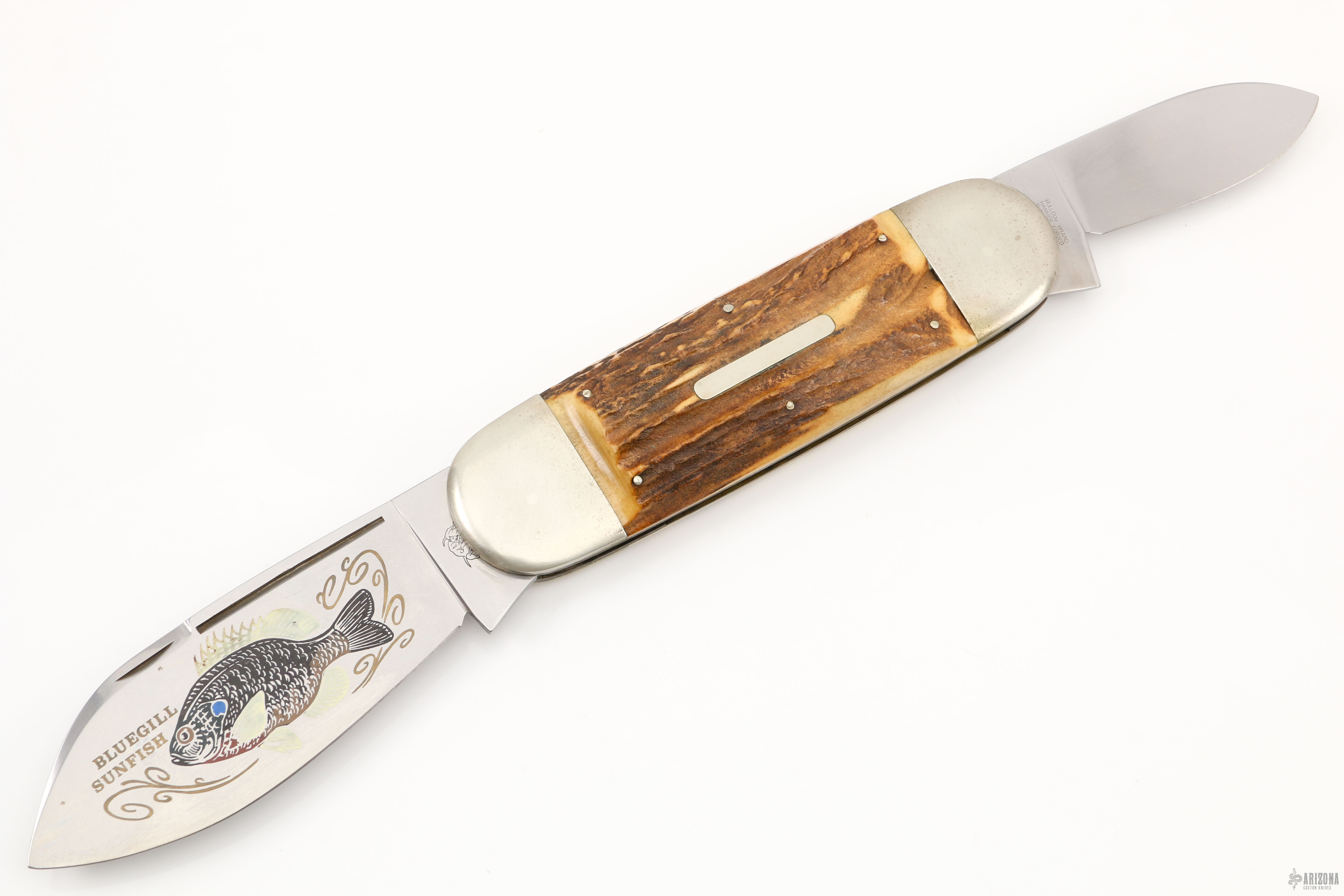 Bluegill Sunfish 2-Blade - XL Display Knife - Arizona Custom Knives