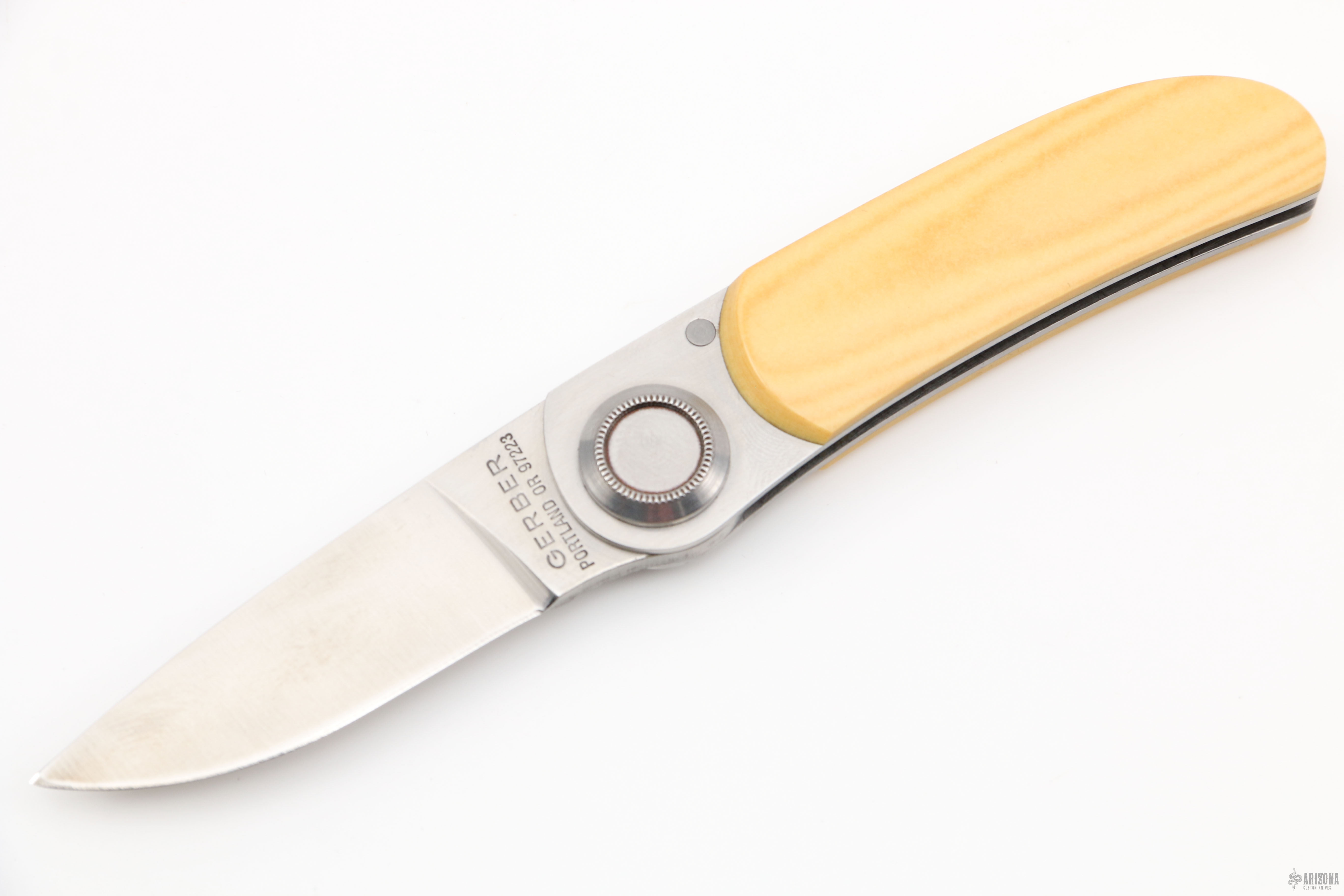 Paul Knife Model 2PM | Arizona Custom Knives