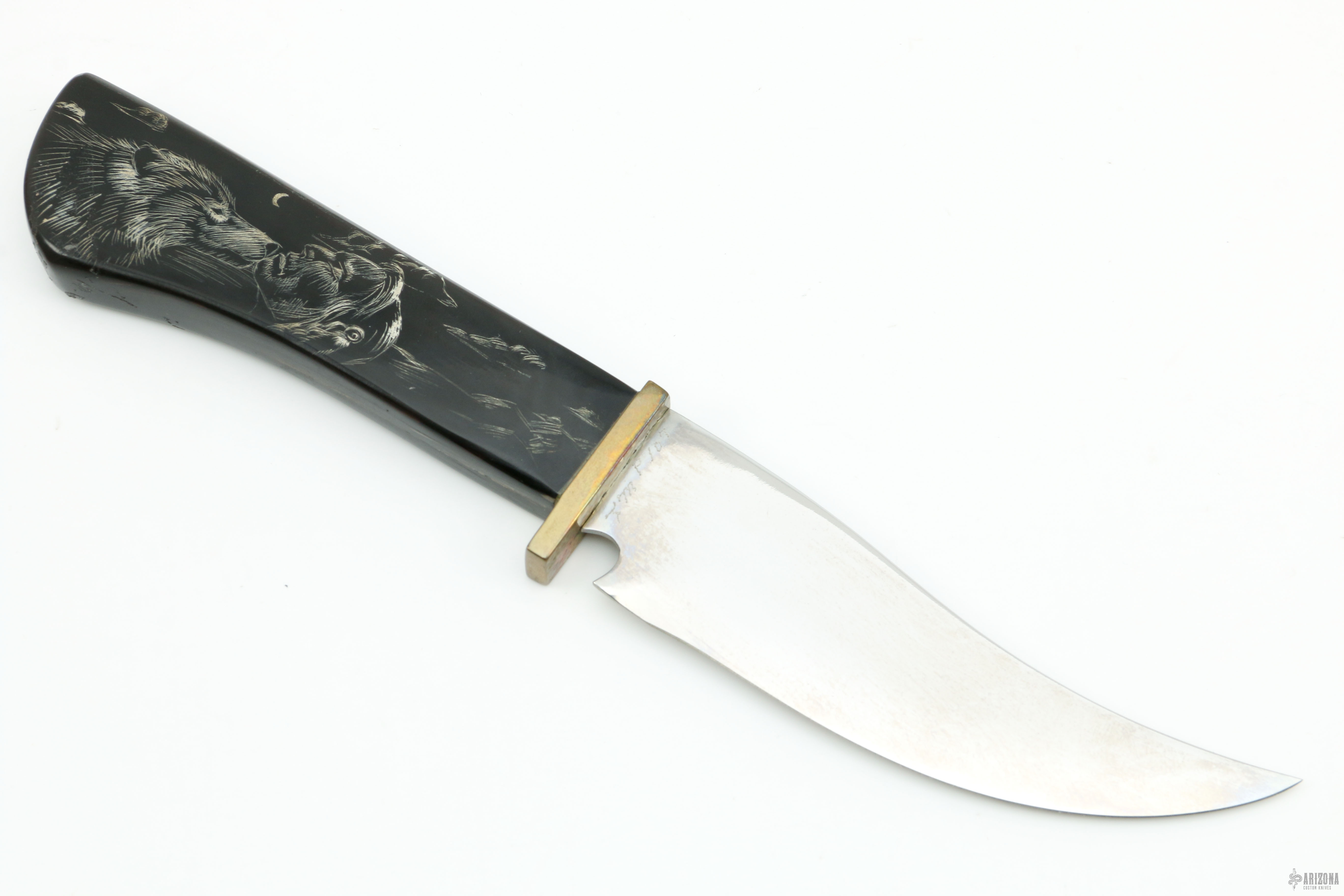 Scrimshawed Buffalo Horn Hunter - Arizona Custom Knives