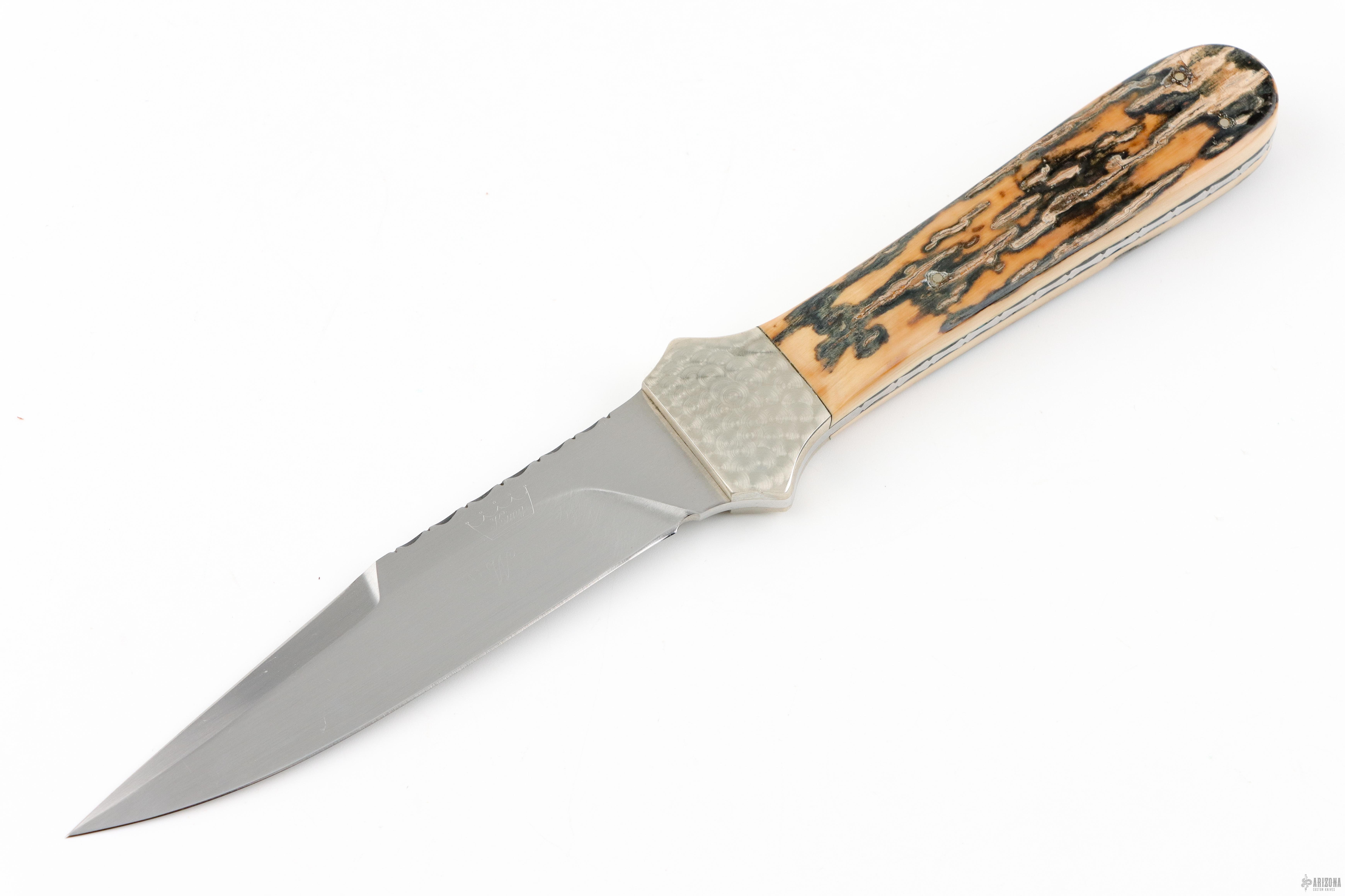 Wasp - Arizona Custom Knives