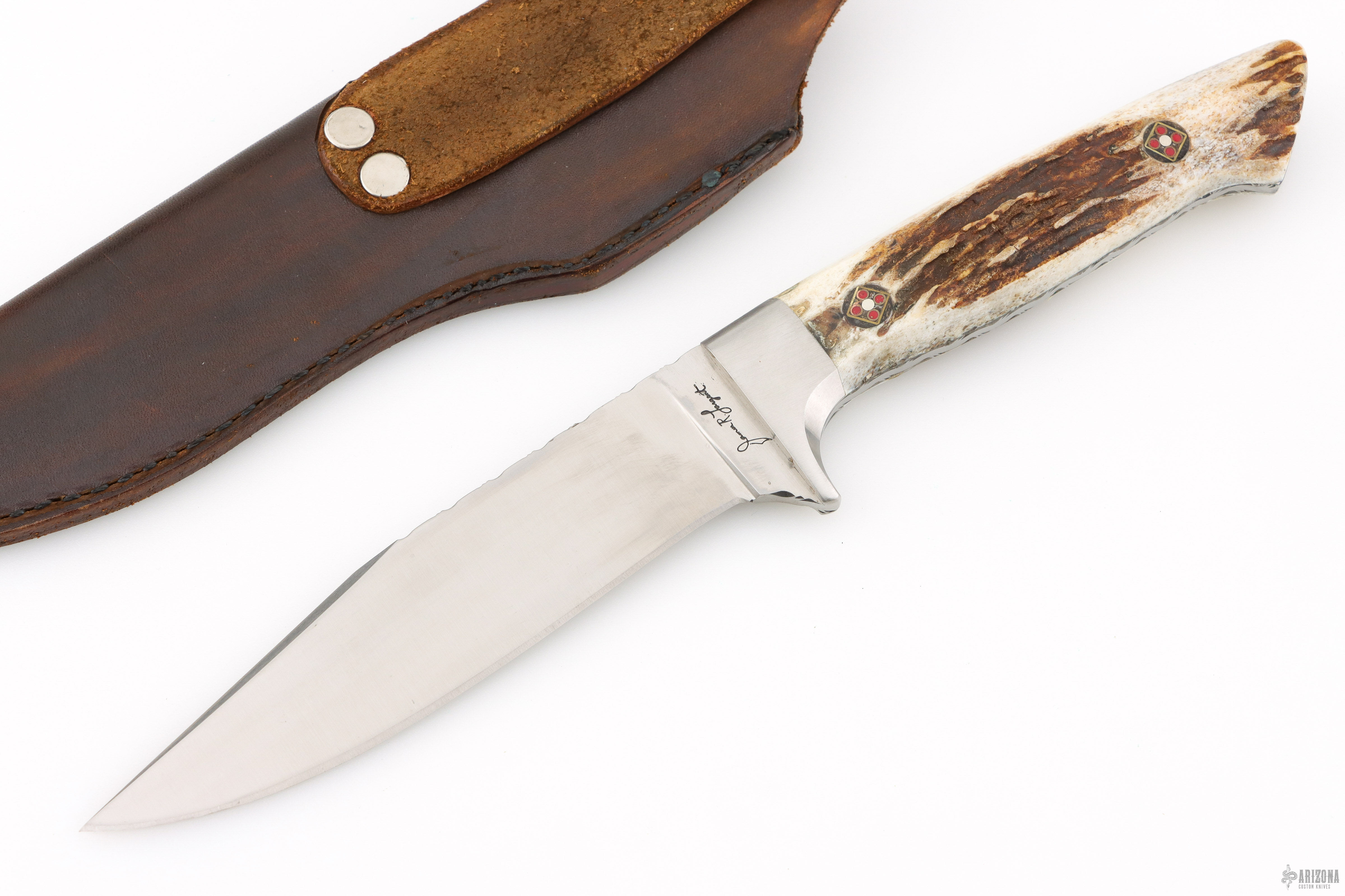 Large Hunter - Stag - Arizona Custom Knives