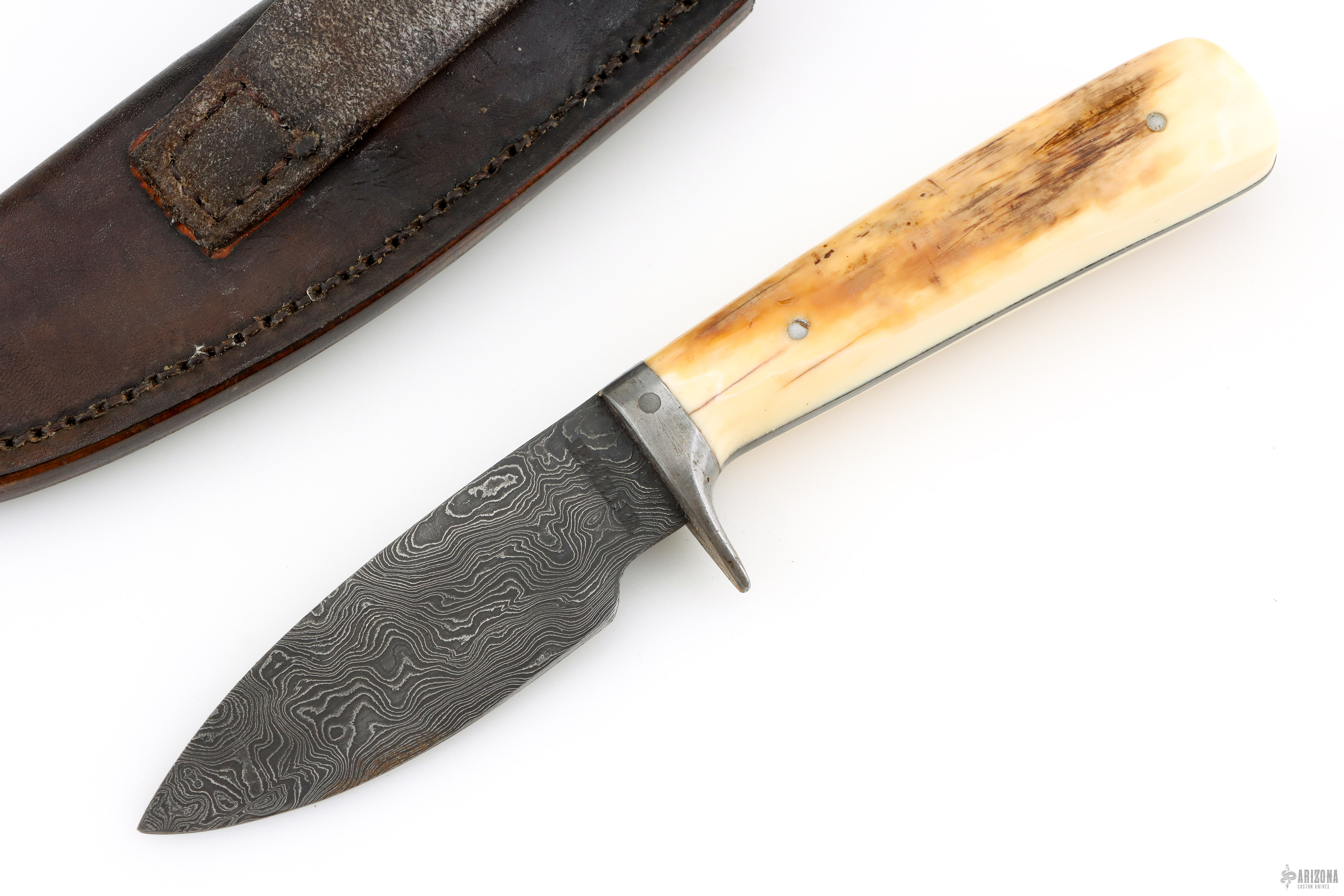 Damascus and Fossil Walrus Ivory Hunter - Arizona Custom Knives