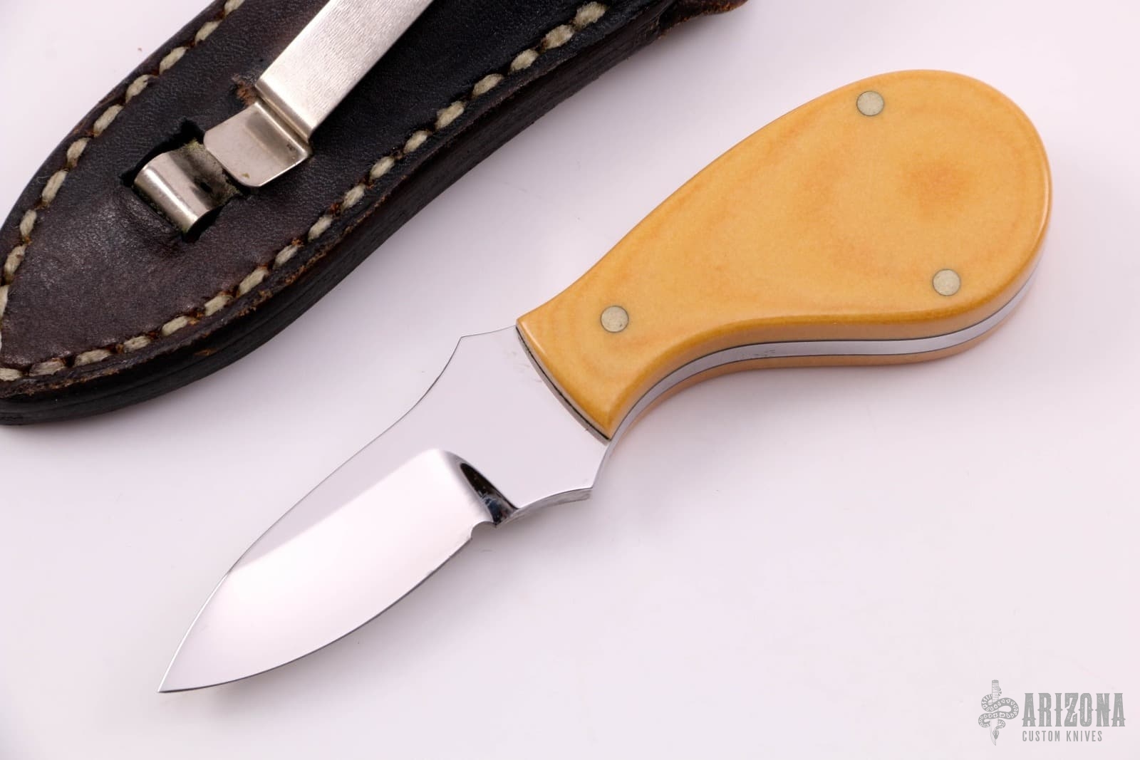 Small Bird Knife - Arizona Custom Knives