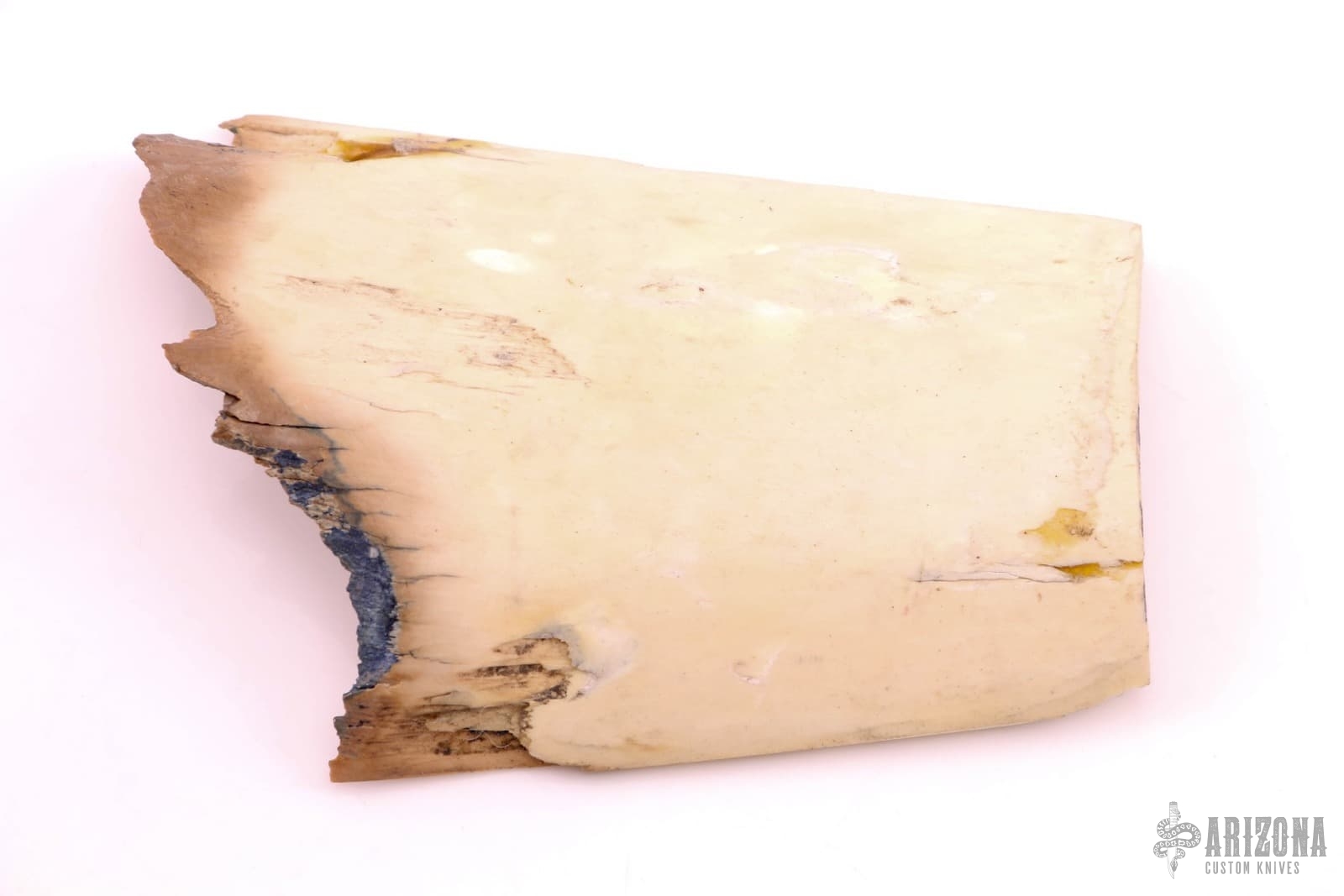 Fossil Mammoth Ivory - Interior - Arizona Custom Knives