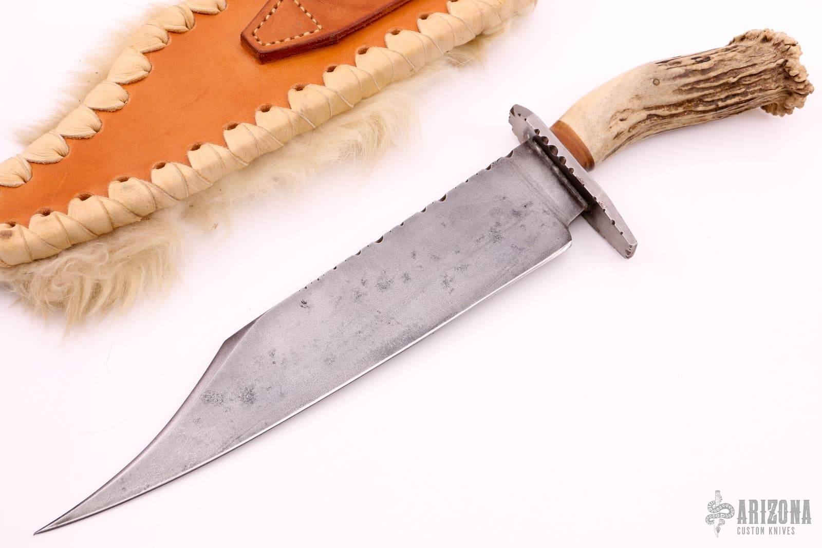 Crown Stag Bowie - Arizona Custom Knives