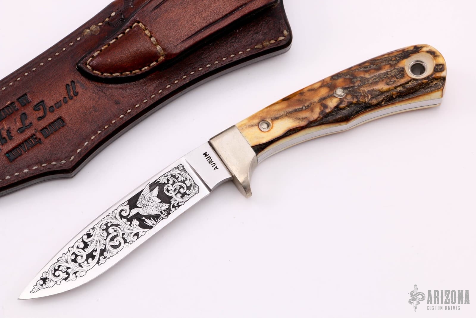 Stag Hunter - Arizona Custom Knives