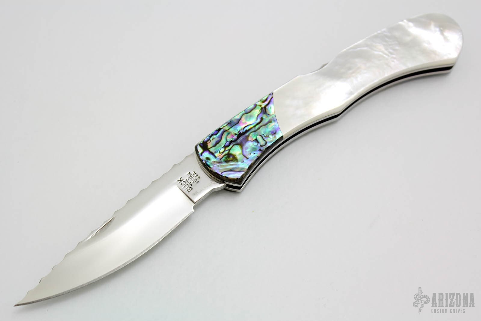 Buck Custom Lockback 168/250 | Arizona Custom Knives