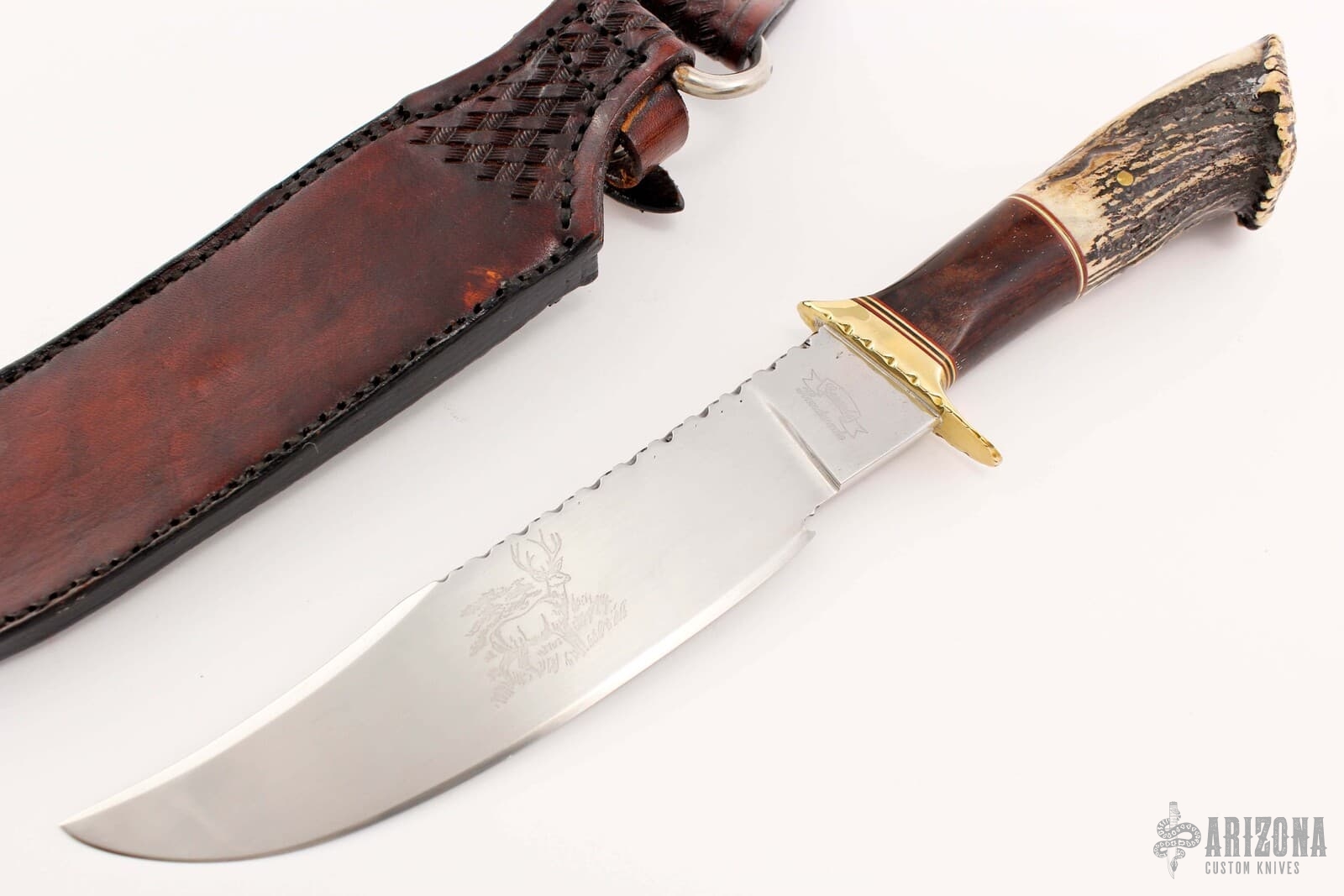 Crown Stag Bowie - Arizona Custom Knives