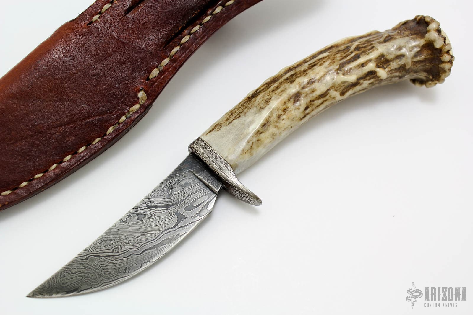 Crown Stag Fixed Blade - Arizona Custom Knives