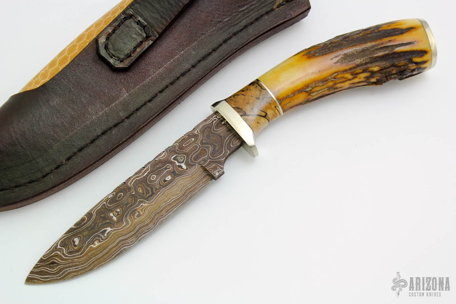 Hunter - Stag - Arizona Custom Knives