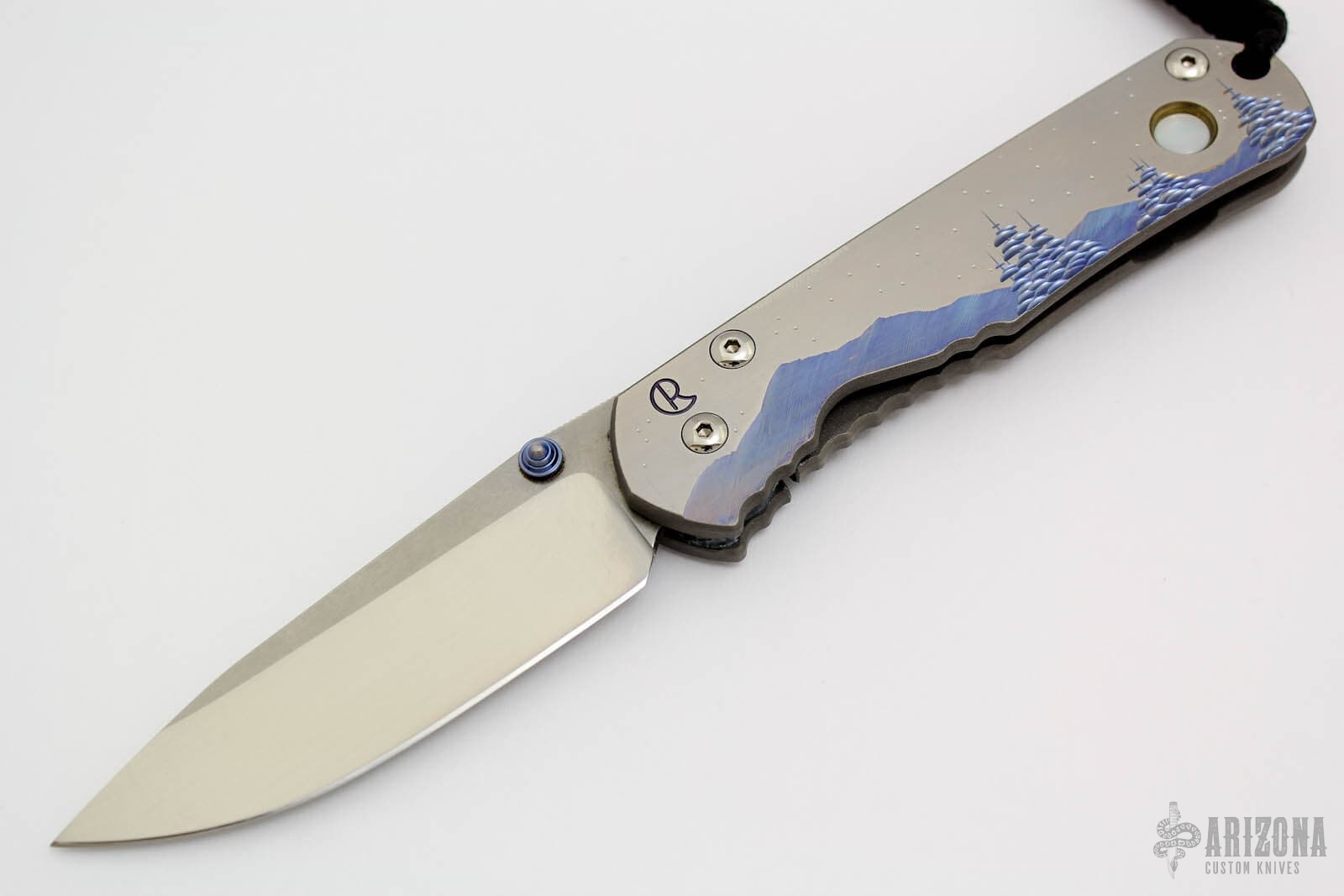 Large Sebenza 21 - Unique Graphic - Arizona Custom Knives