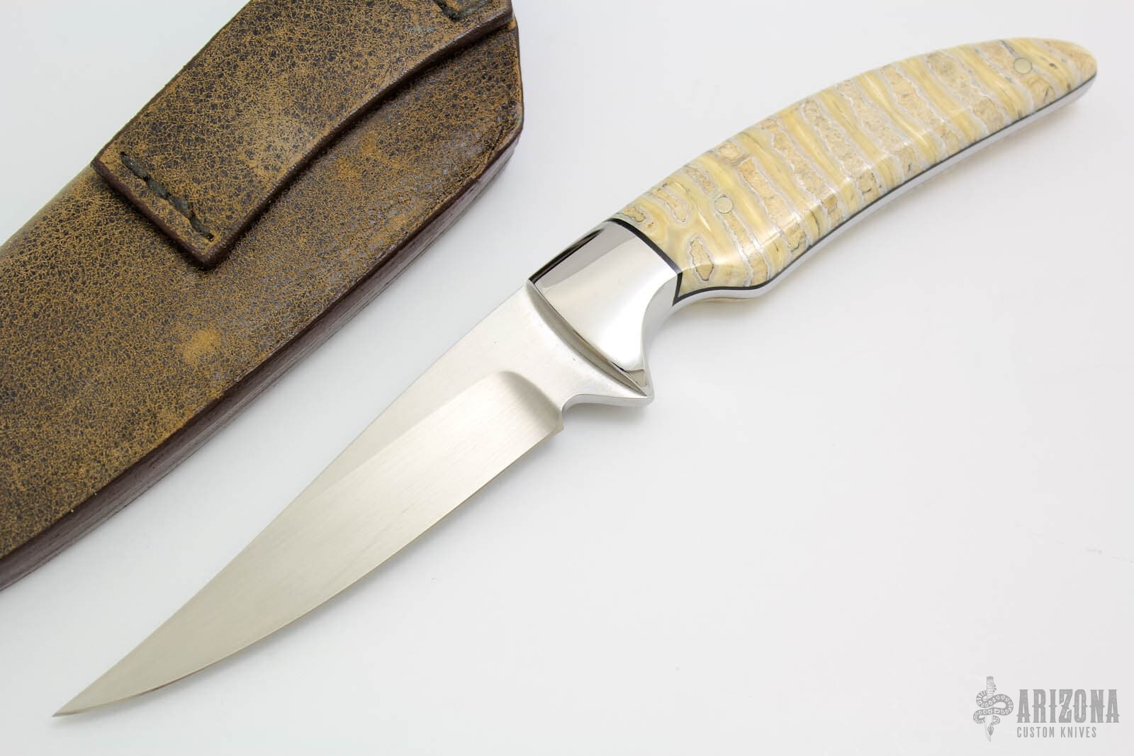 Mammoth Tooth Fixed Blade - Arizona Custom Knives