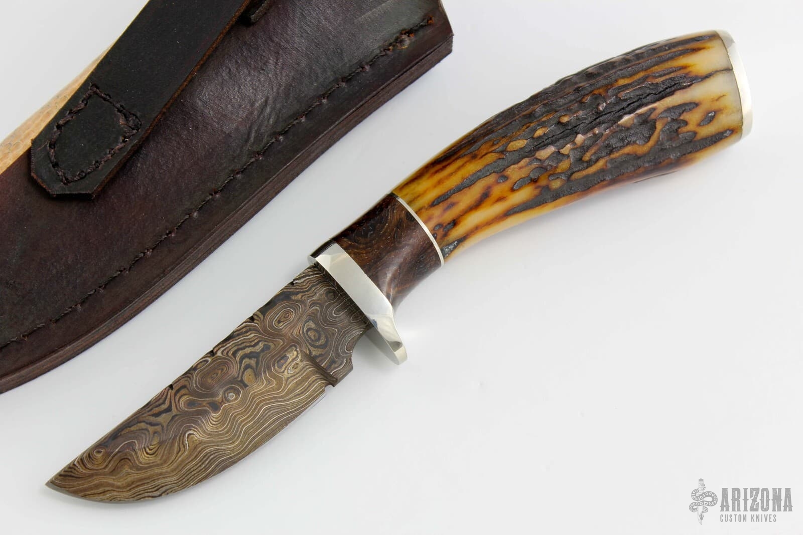 Small Hunter - Stag - Arizona Custom Knives