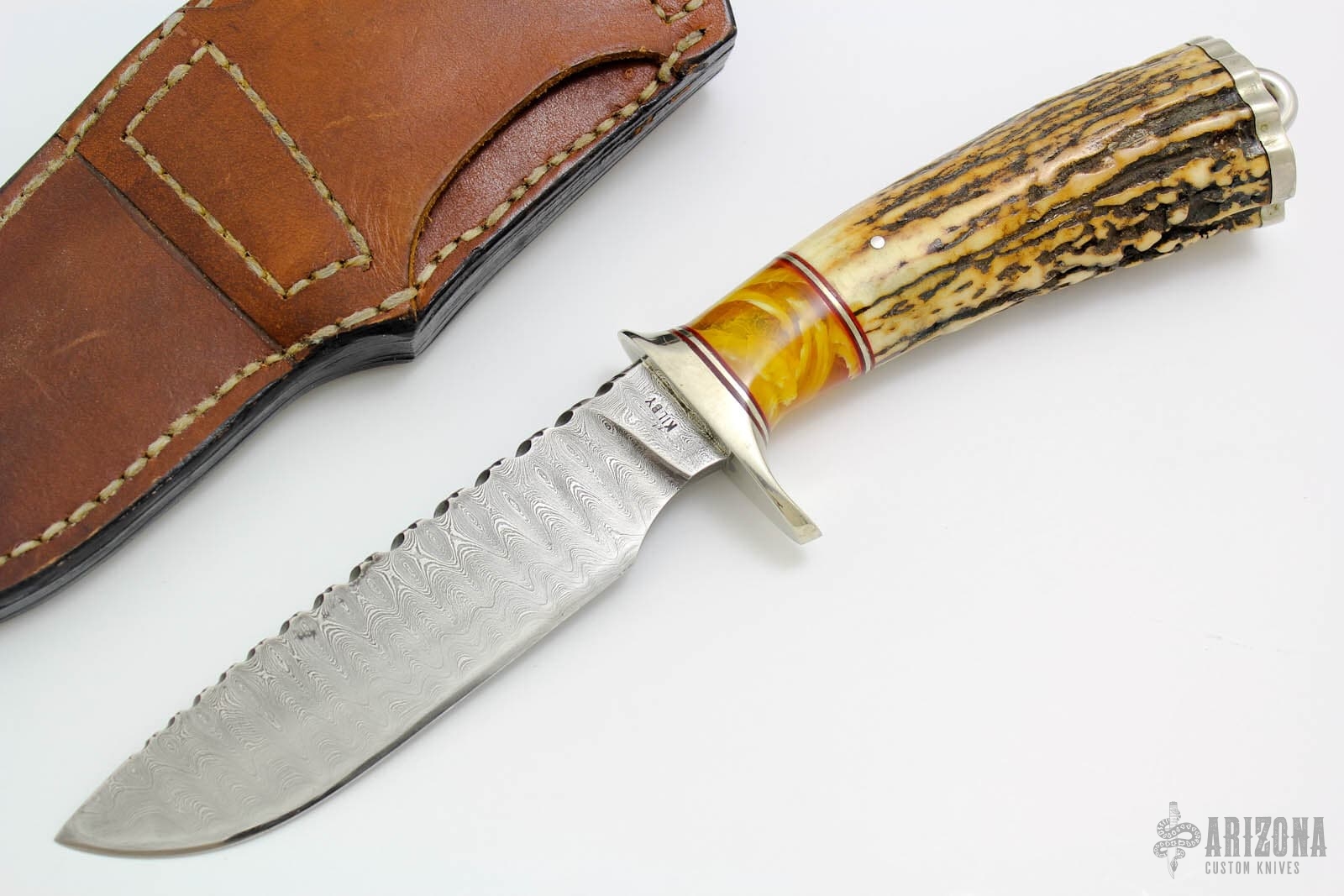 Stag Hunter - Arizona Custom Knives