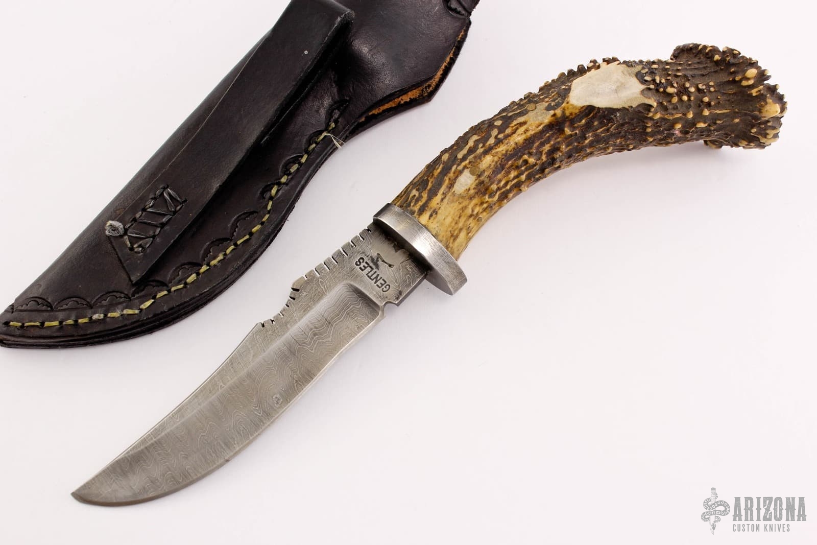 Damascus and Stag Fixed Blade - Arizona Custom Knives