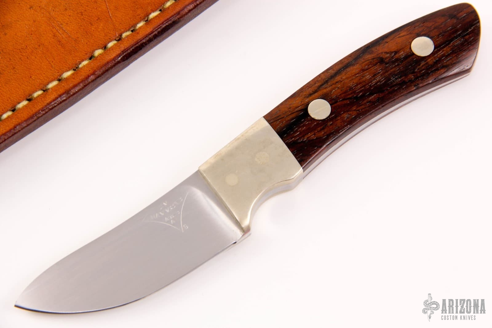 Small Skinner - Arizona Custom Knives